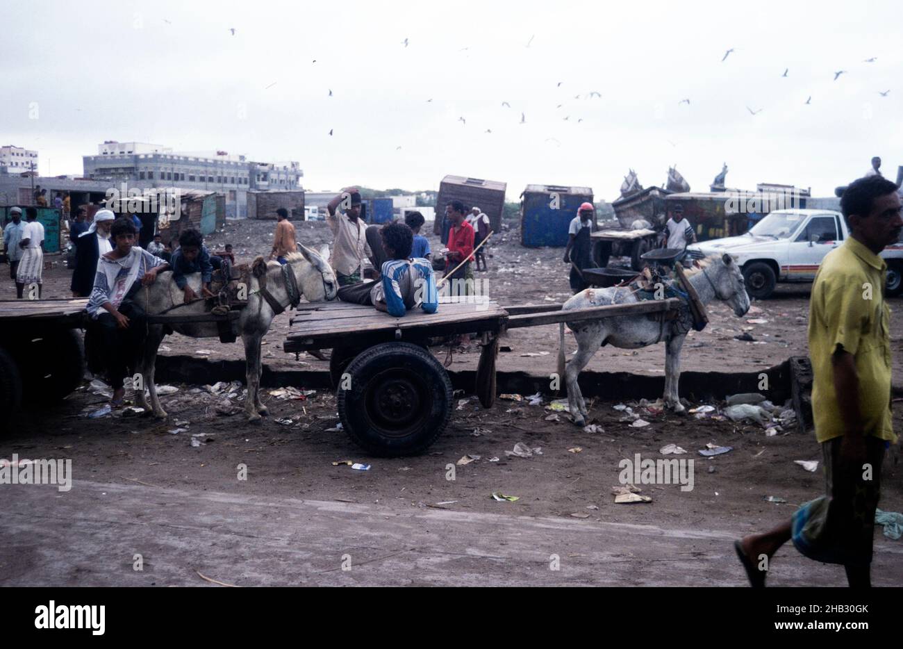 Hodeidah, Al Hudaydah, Al-Hodeidah fish market in Yemen 1998 donkey ...
