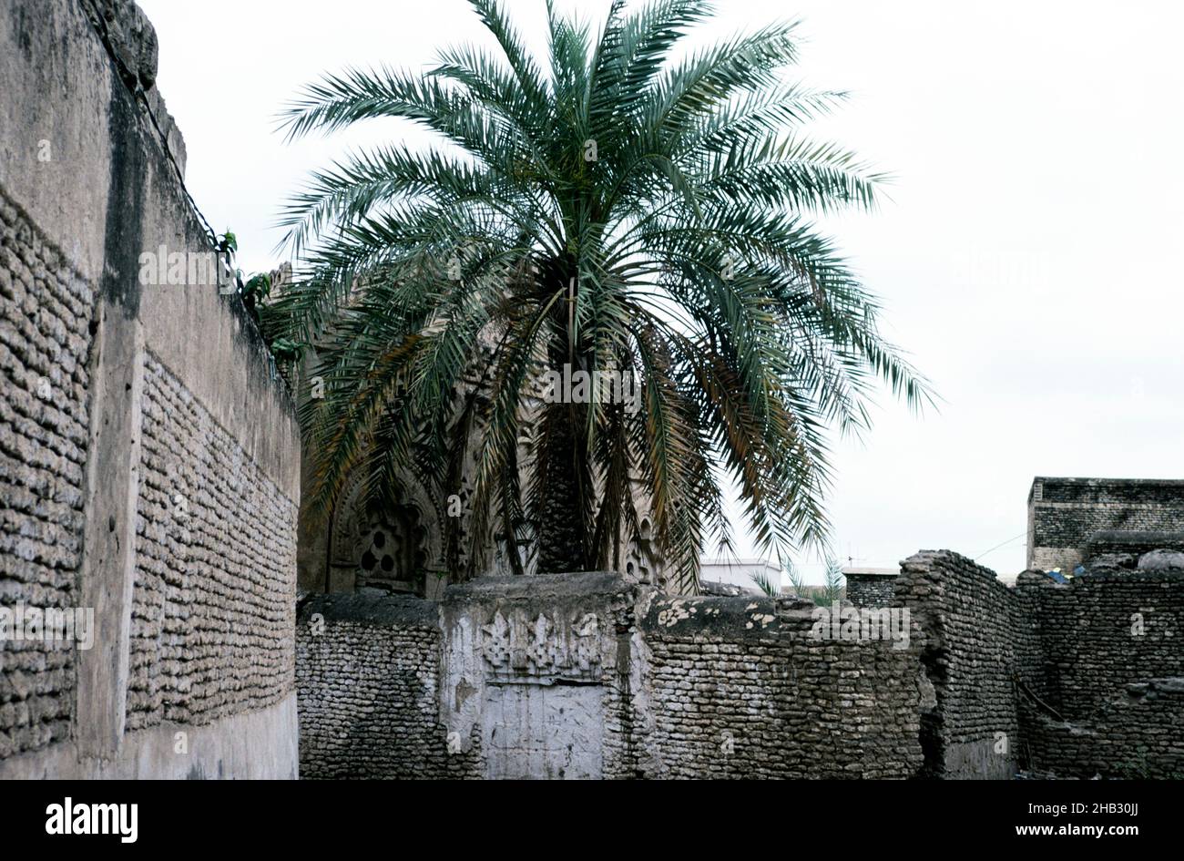 Historic buildings in ancient town of Zebid, Zabid, Yemen 1998 UNESCO ...