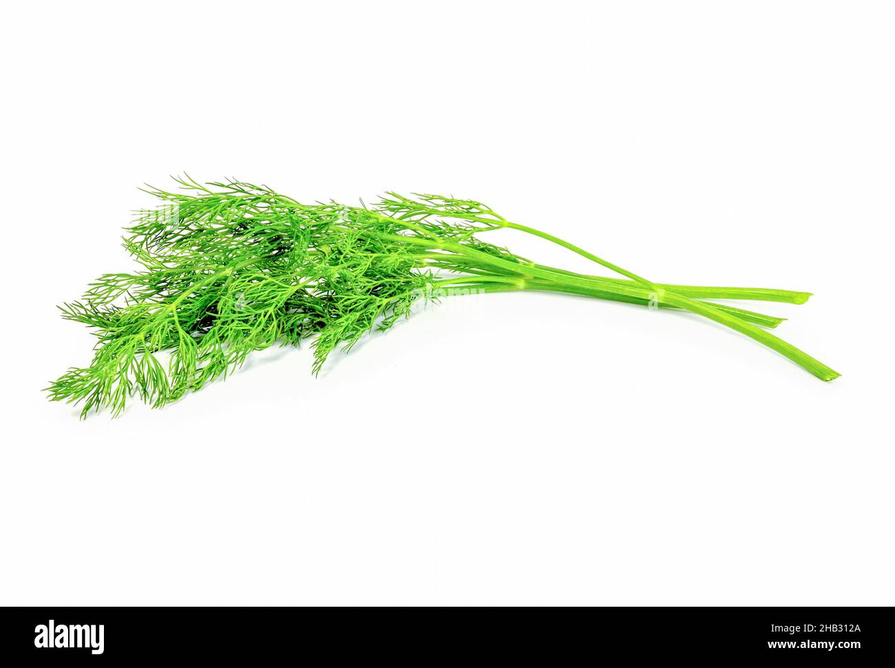 Fresh dill on white background Stock Photo - Alamy