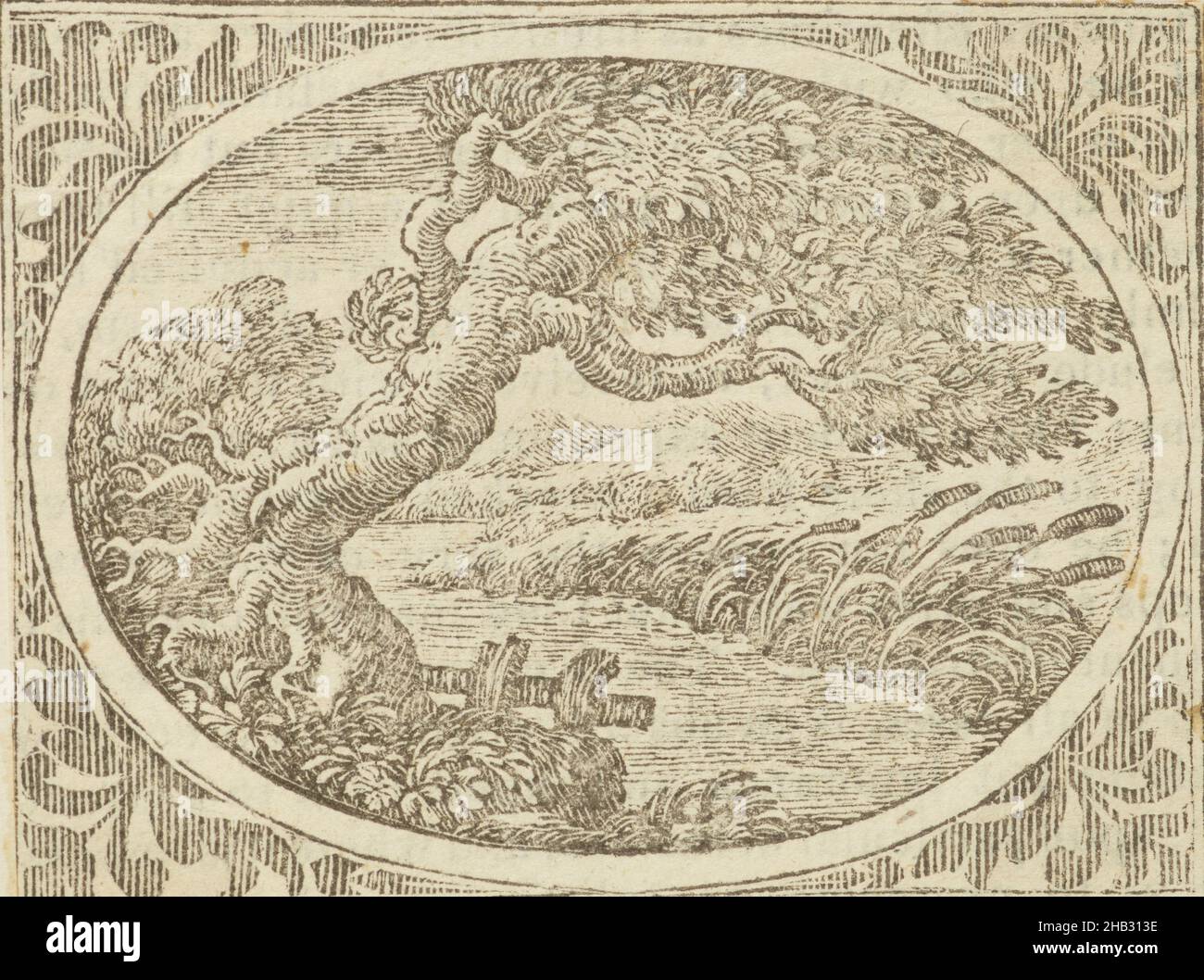 Wood engraving, Thomas Bewick, artist, England, wood engraving Stock ...