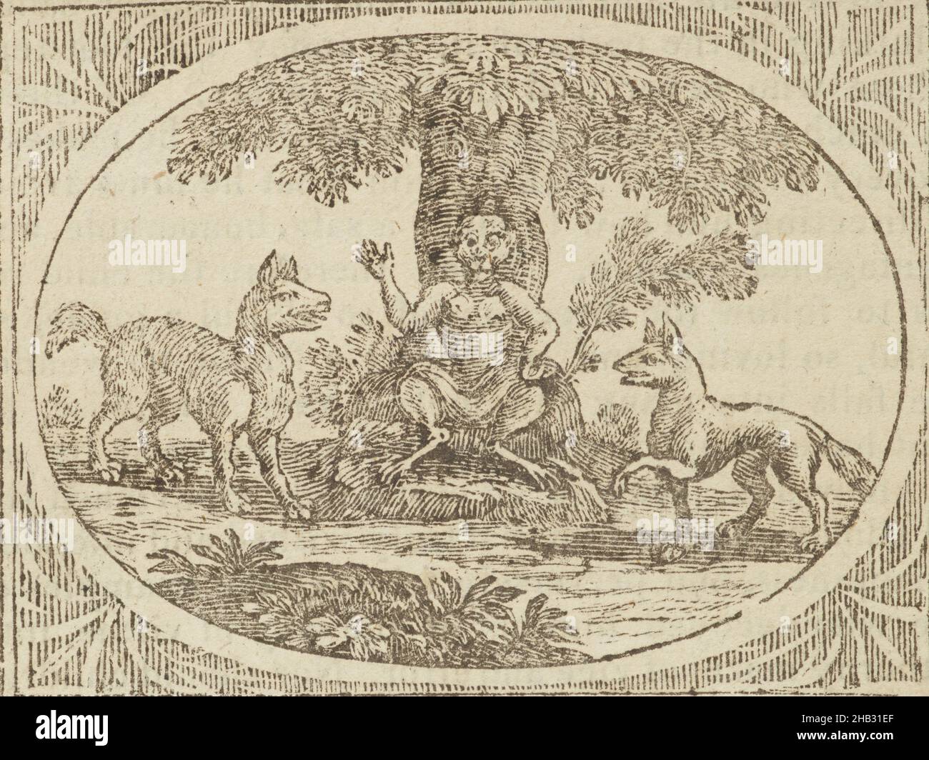 Wood engraving, Thomas Bewick, artist, England, wood engraving Stock ...