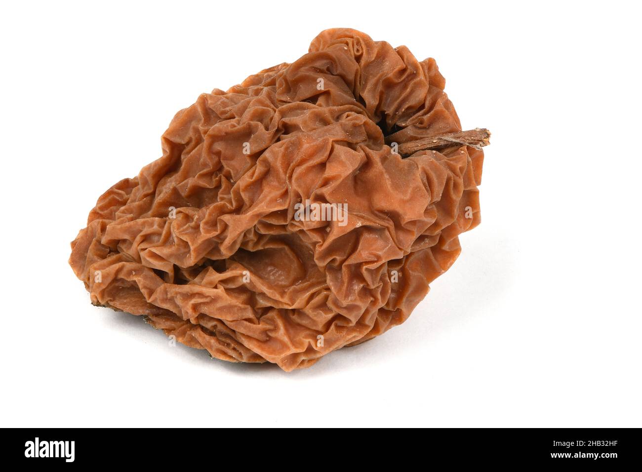 Rotten apple isolated on white background. High resolution photo. Full ...