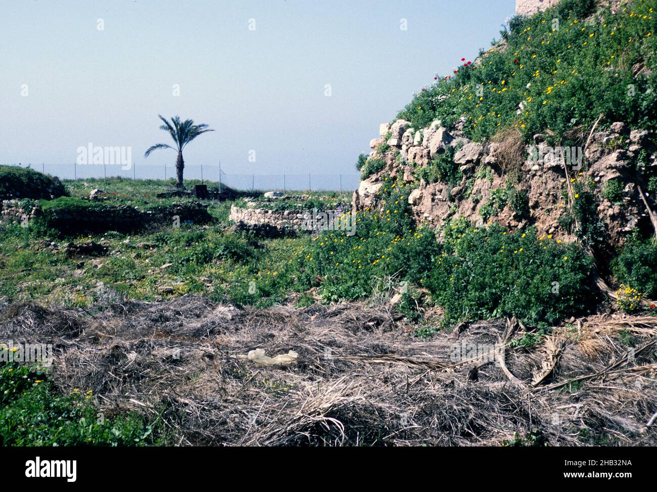 4000 bc hi-res stock photography and images - Alamy