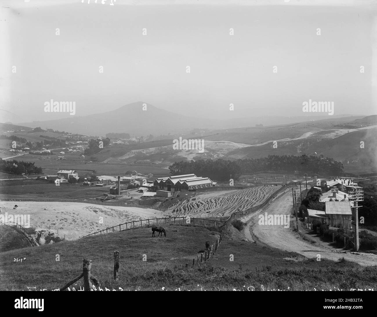 View from Caversham Rise looking to Green Island and Saddle Hill ...