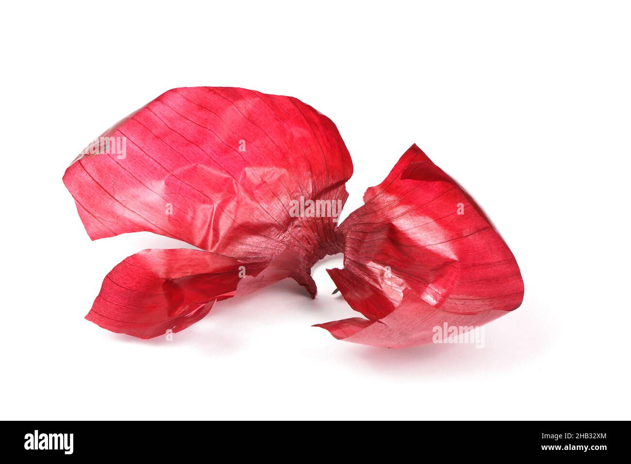 Onion peel isolated on white background. Red onion peel. High ...
