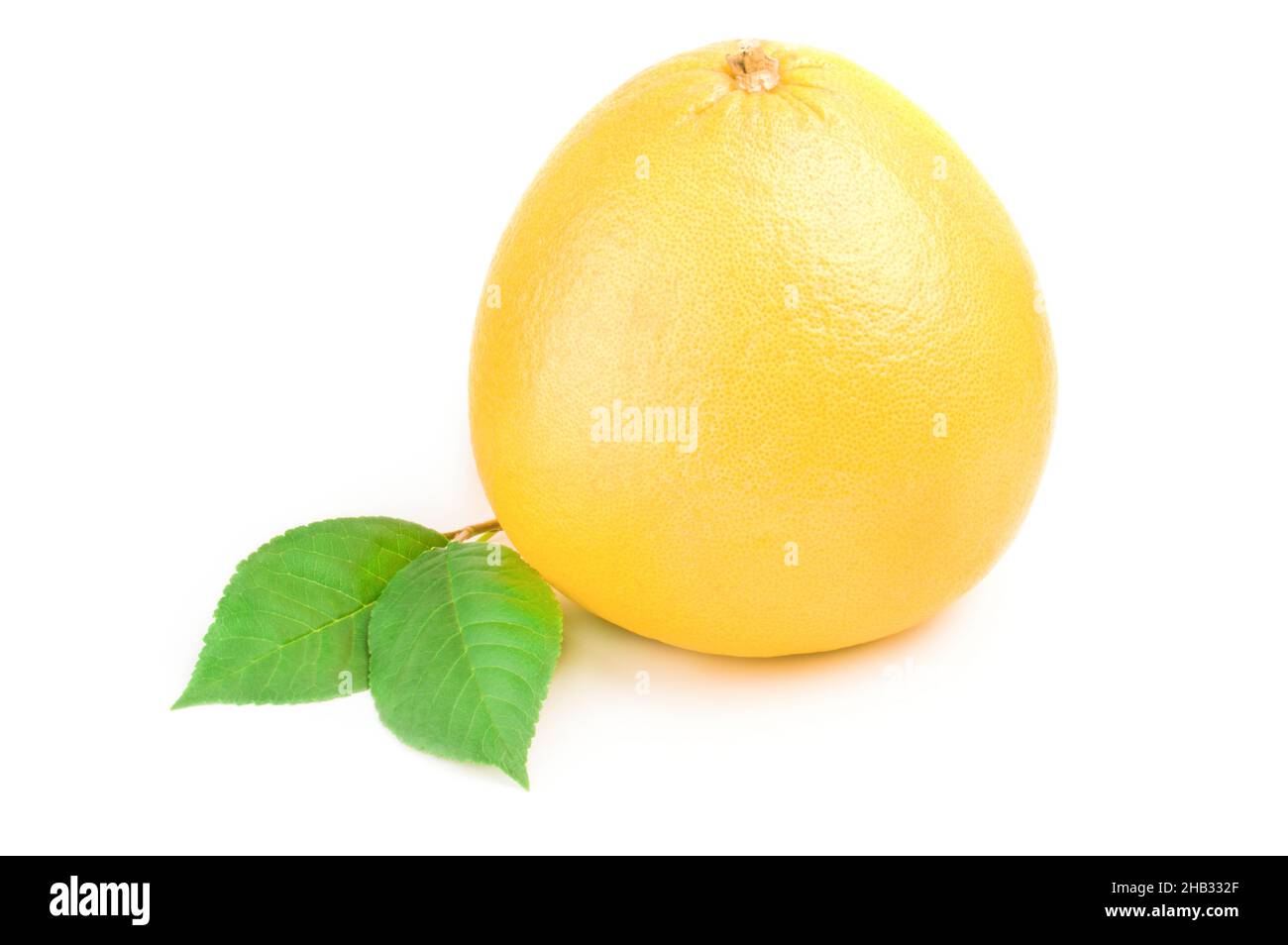 Shaddock over a white background Stock Photo - Alamy