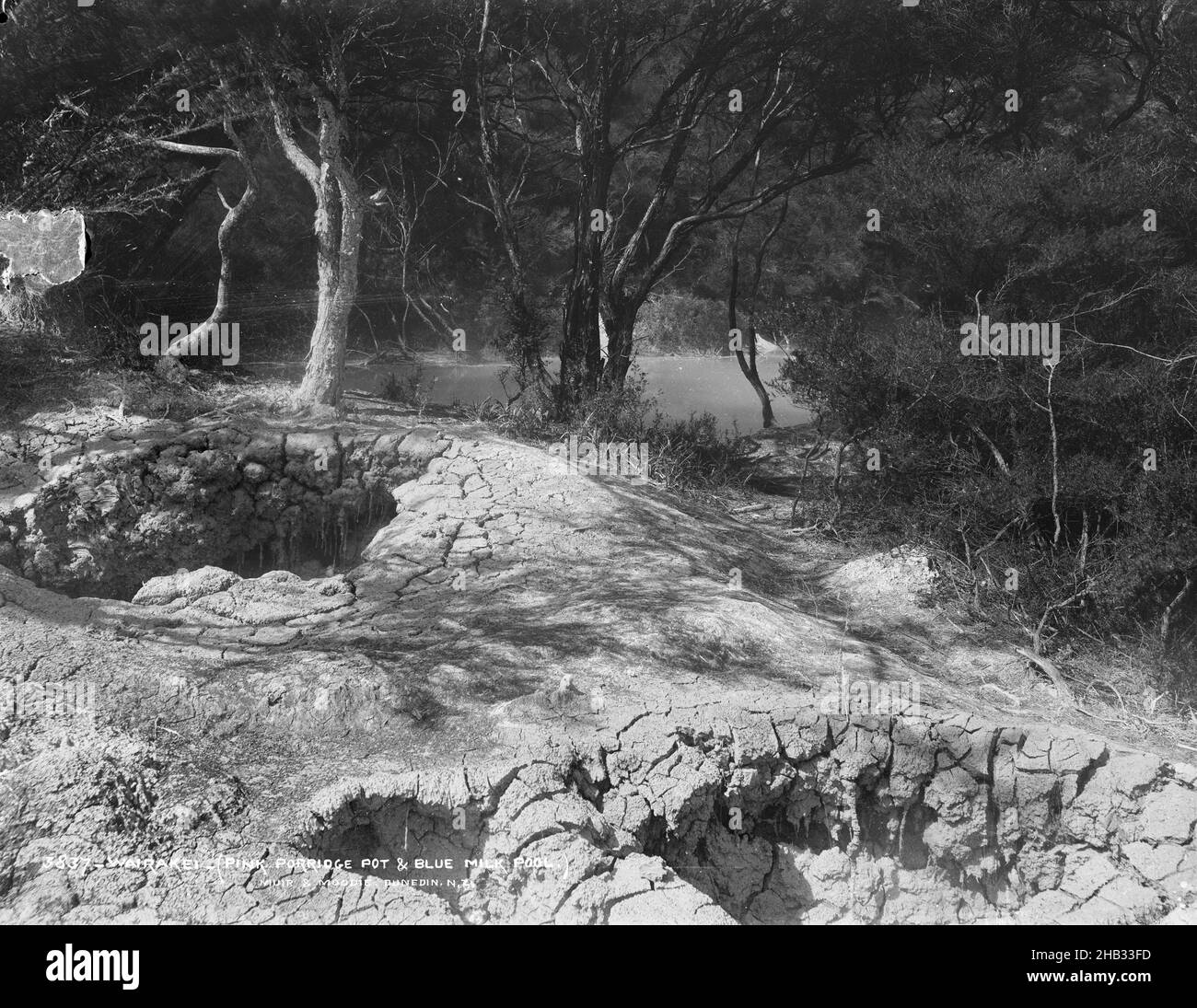 Pink porridge pot hi-res stock photography and images - Alamy