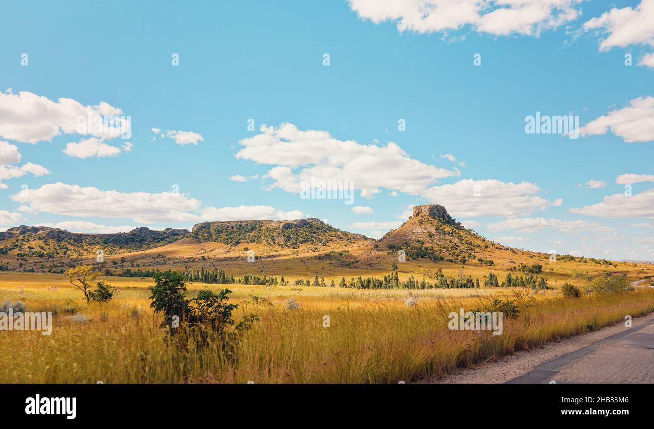 Low grass growing on African savanna, small rocky mountains in ...