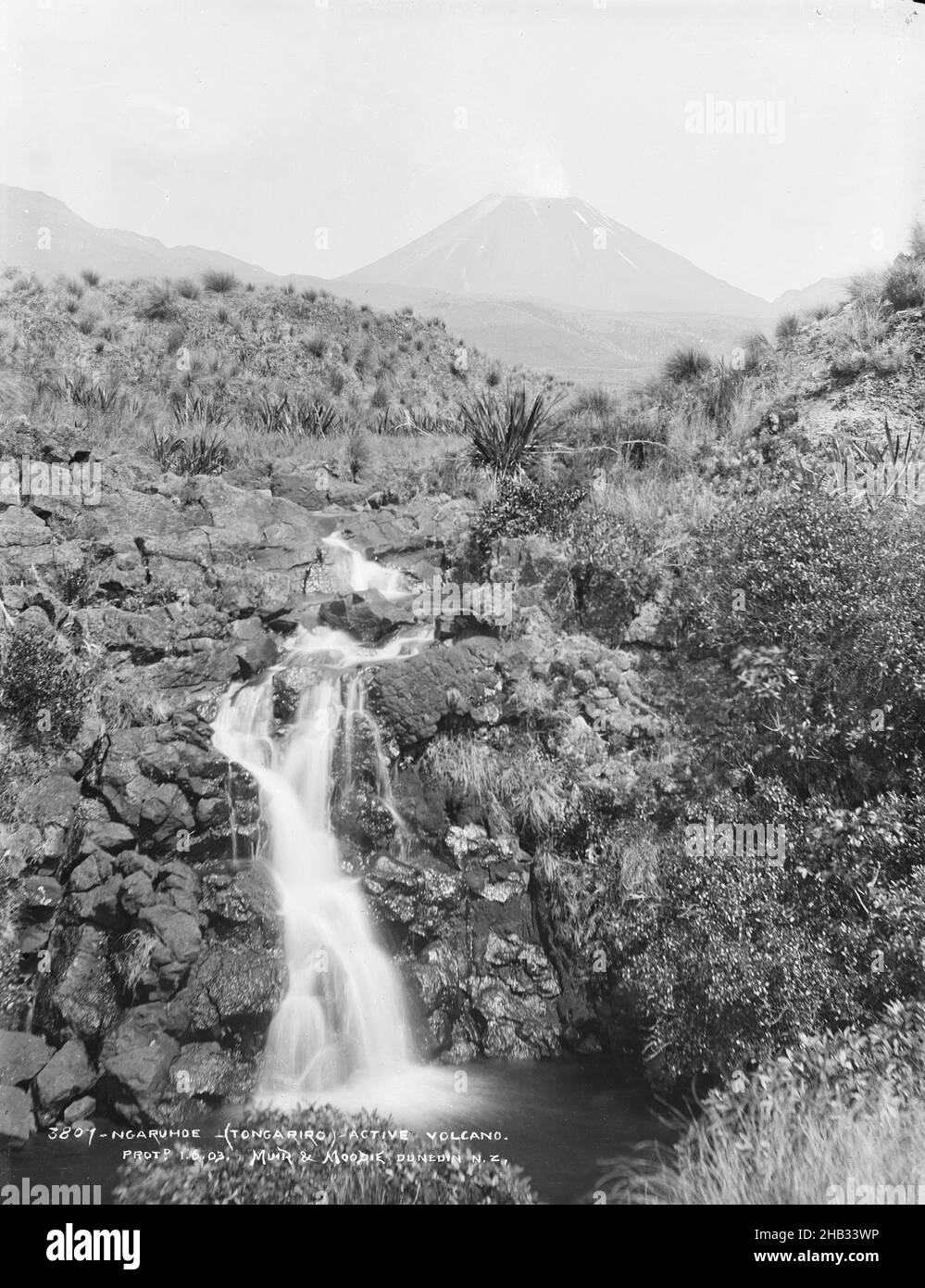 Ngaruhoe [sic] (Tongariro) active volcano, Burton Brothers studio ...