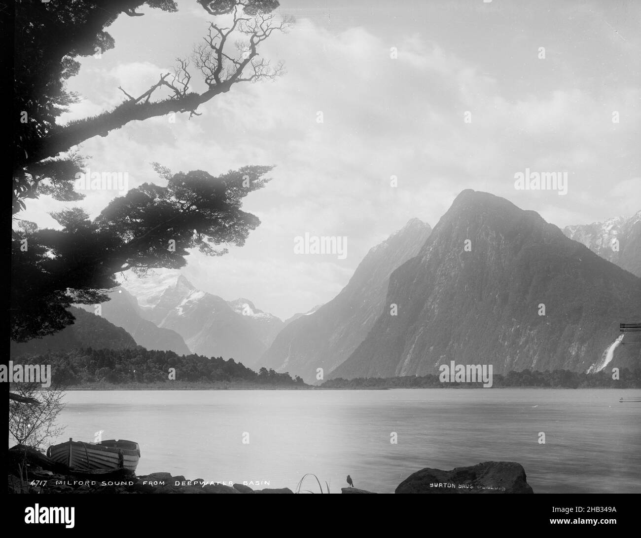 From deepwater basin milford hi-res stock photography and images - Alamy