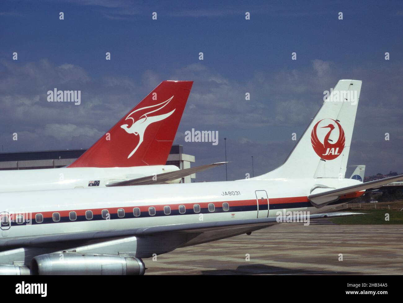 Tail fins of Quantas and Japan Airlines planes JAL8031 Douglas DC-8-60/ ...