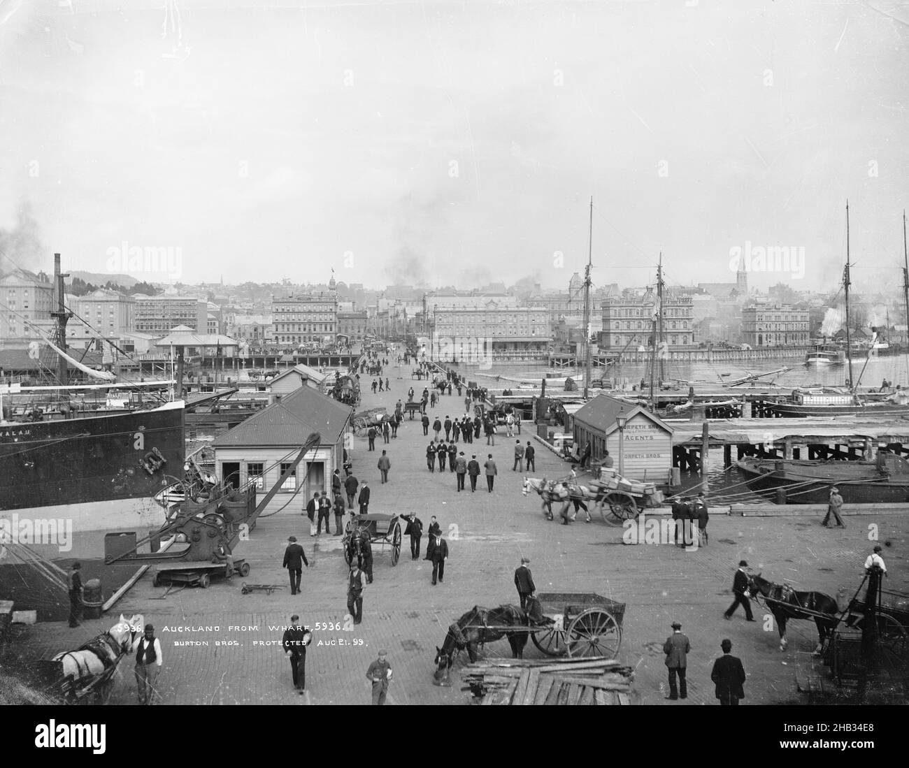Auckland from wharf, Burton Brothers studio, photography studio ...
