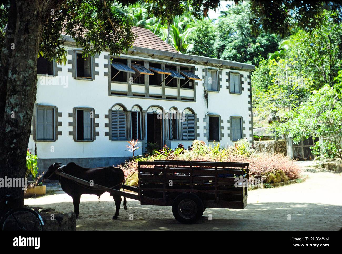 Ox cart and colonial house on island of La Digue, Seychelles in 1980 ...