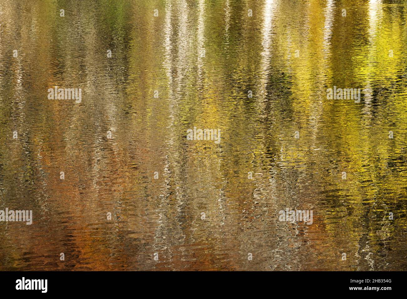 Beautiful view of a reflection on the water of autumn park with large ...