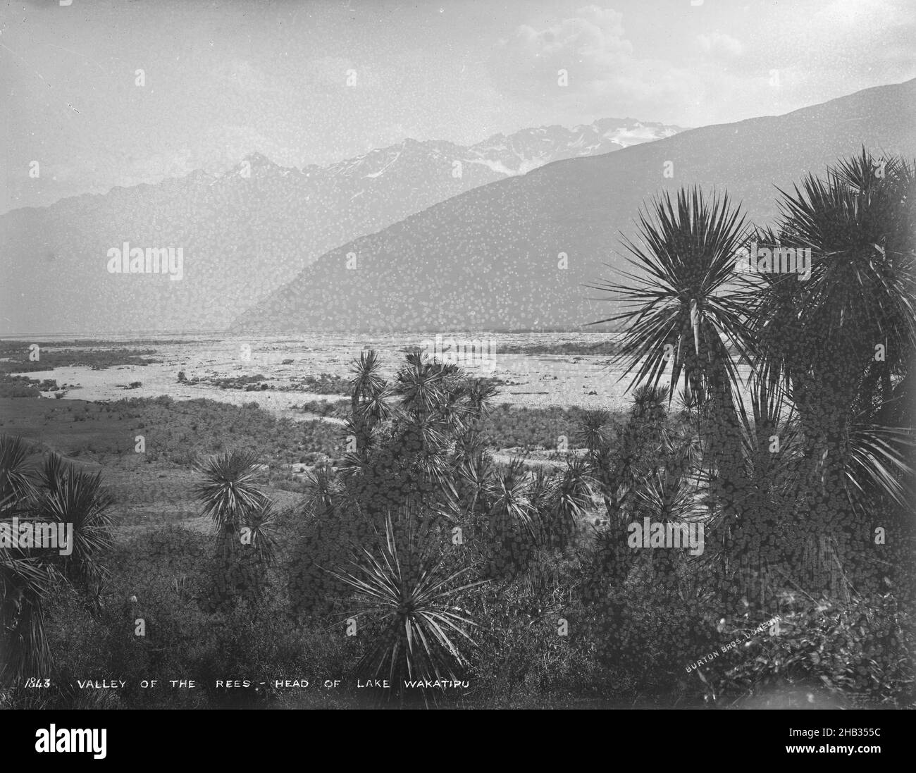 Valley of the Rees, head of Lake Wakatipu, Burton Brothers studio ...