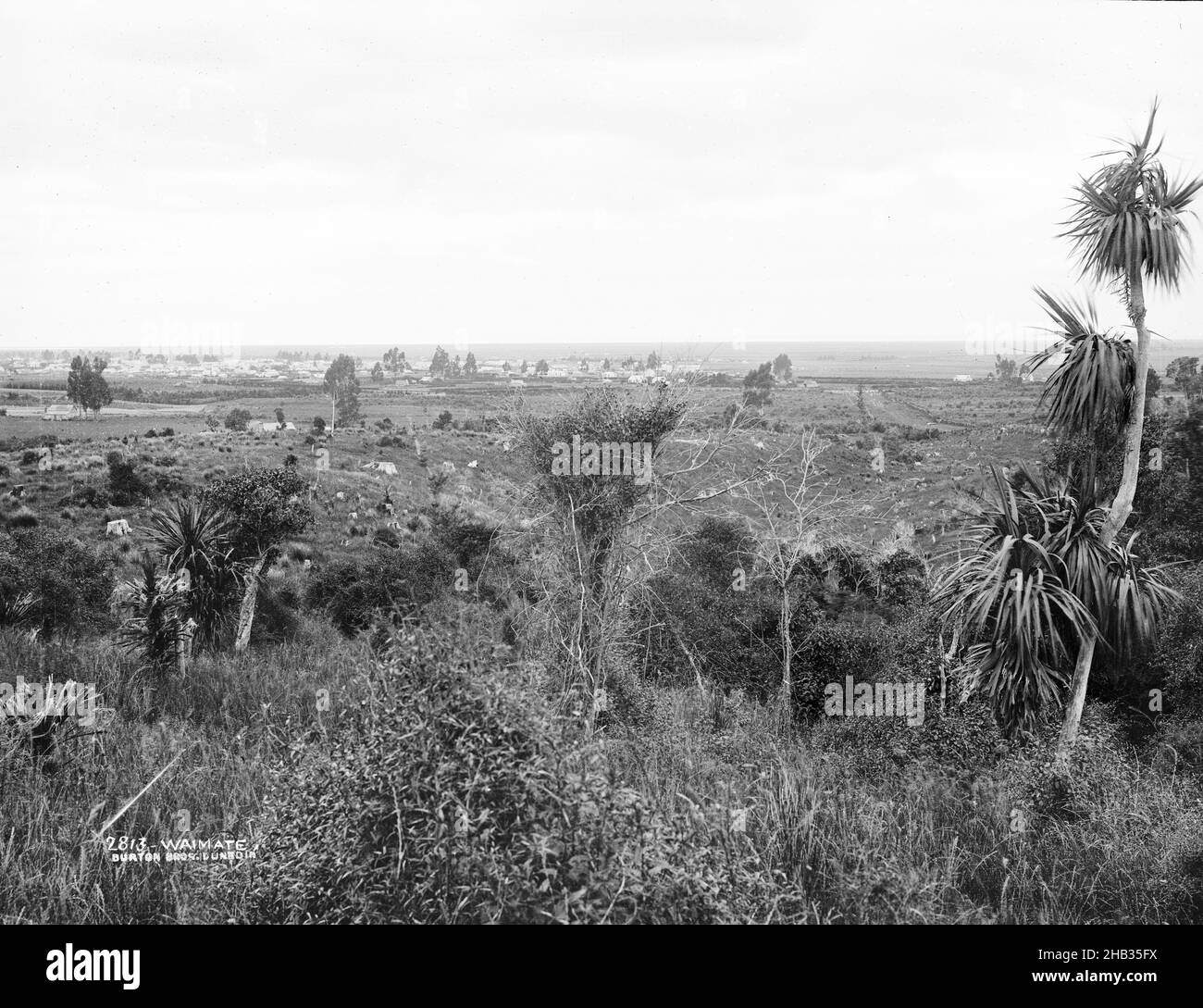 Waimate, Burton Brothers studio, photography studio, New Zealand ...