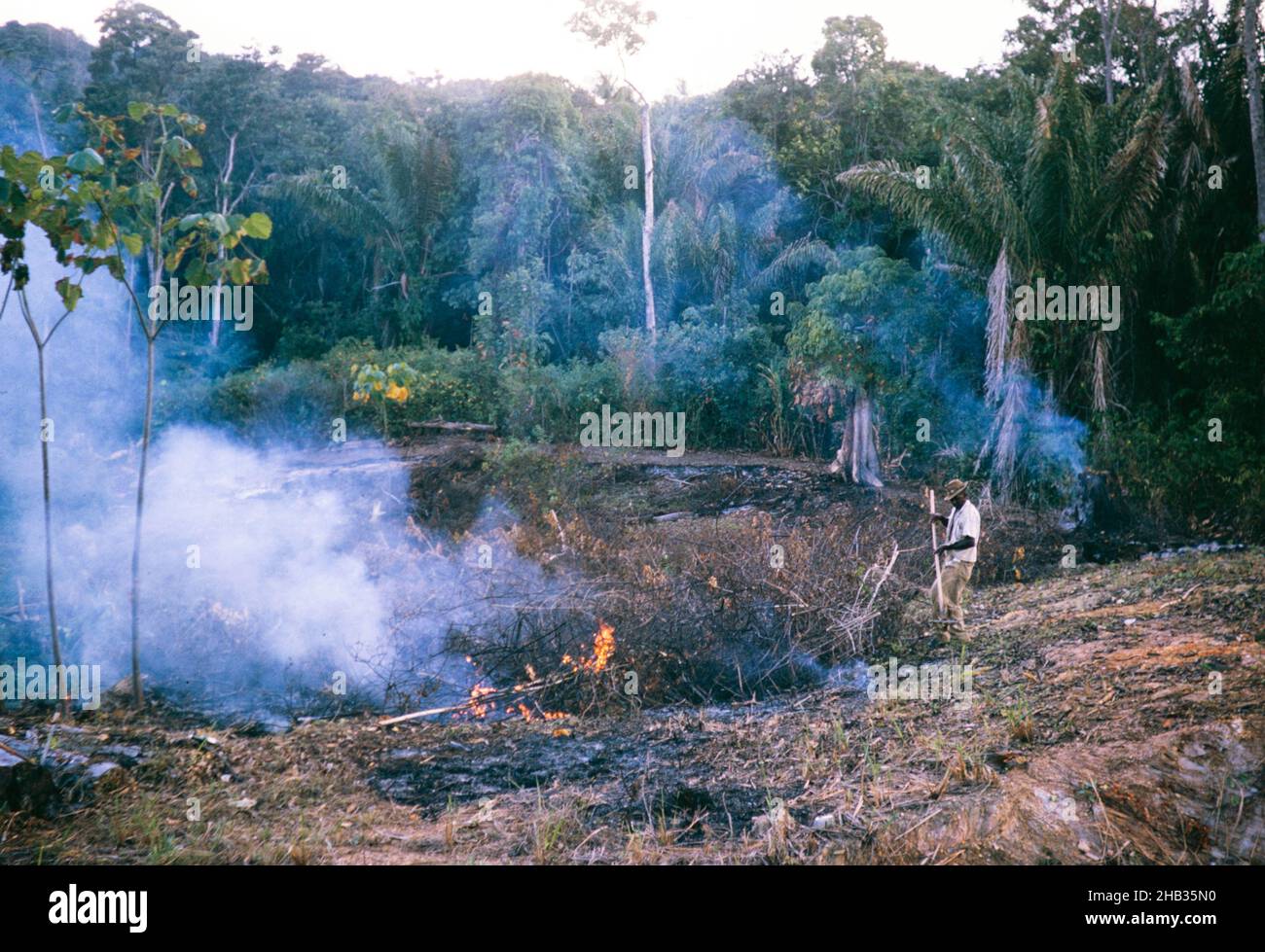 Burning bush vegetation to clear land for agriculture at Balandra ...