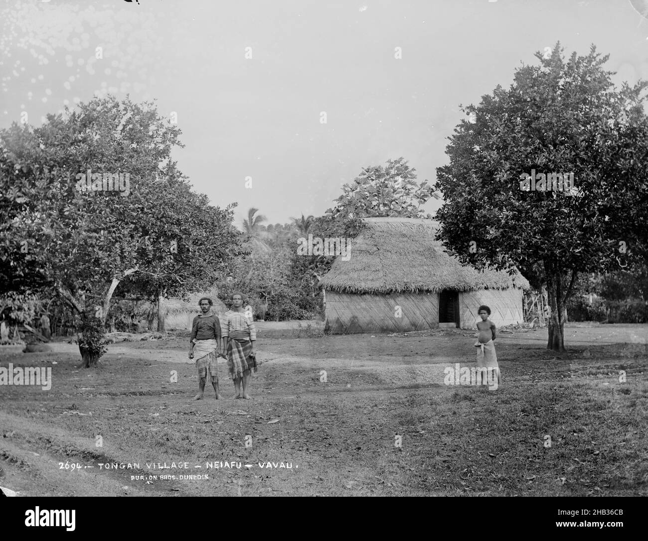Tongan fale hi-res stock photography and images - Alamy
