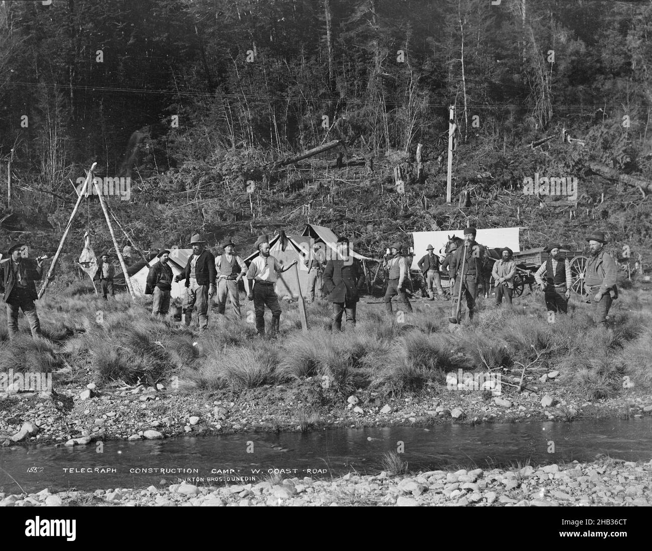 Telegraph construction camp, West Coast Road, Burton Brothers studio ...