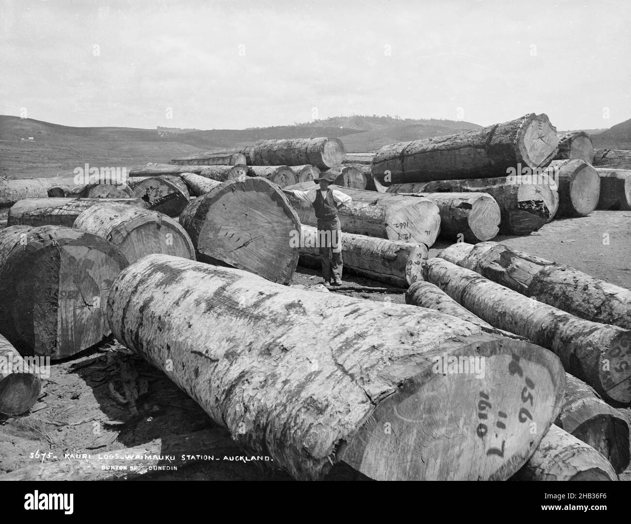 Waimauku station hi-res stock photography and images - Alamy