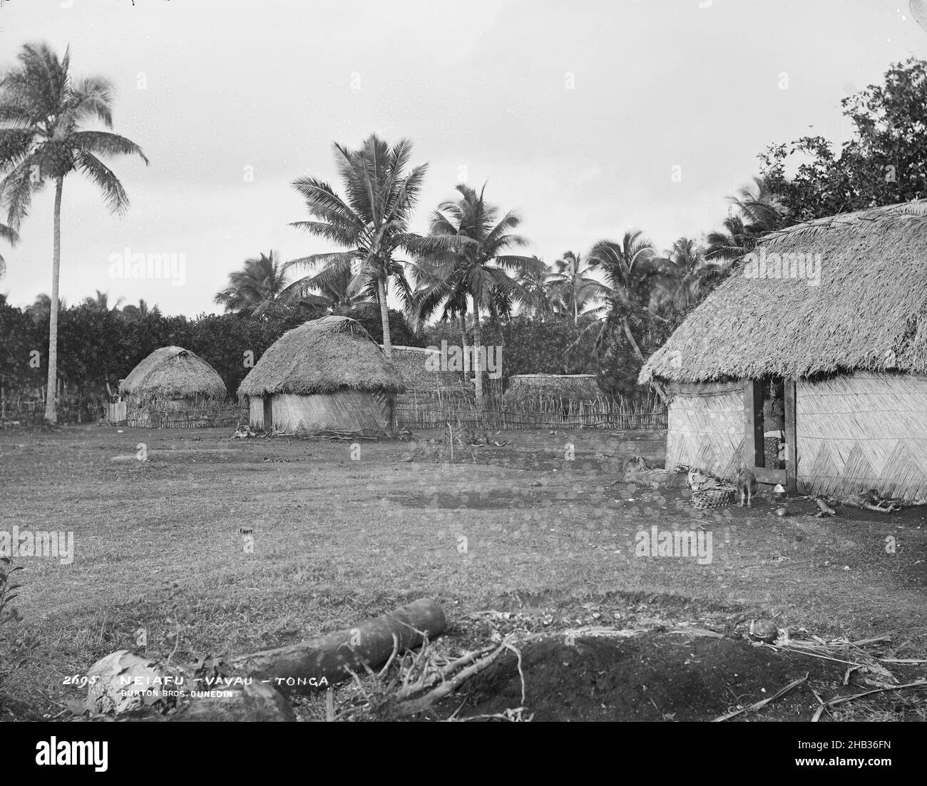 Five fale hi-res stock photography and images - Alamy