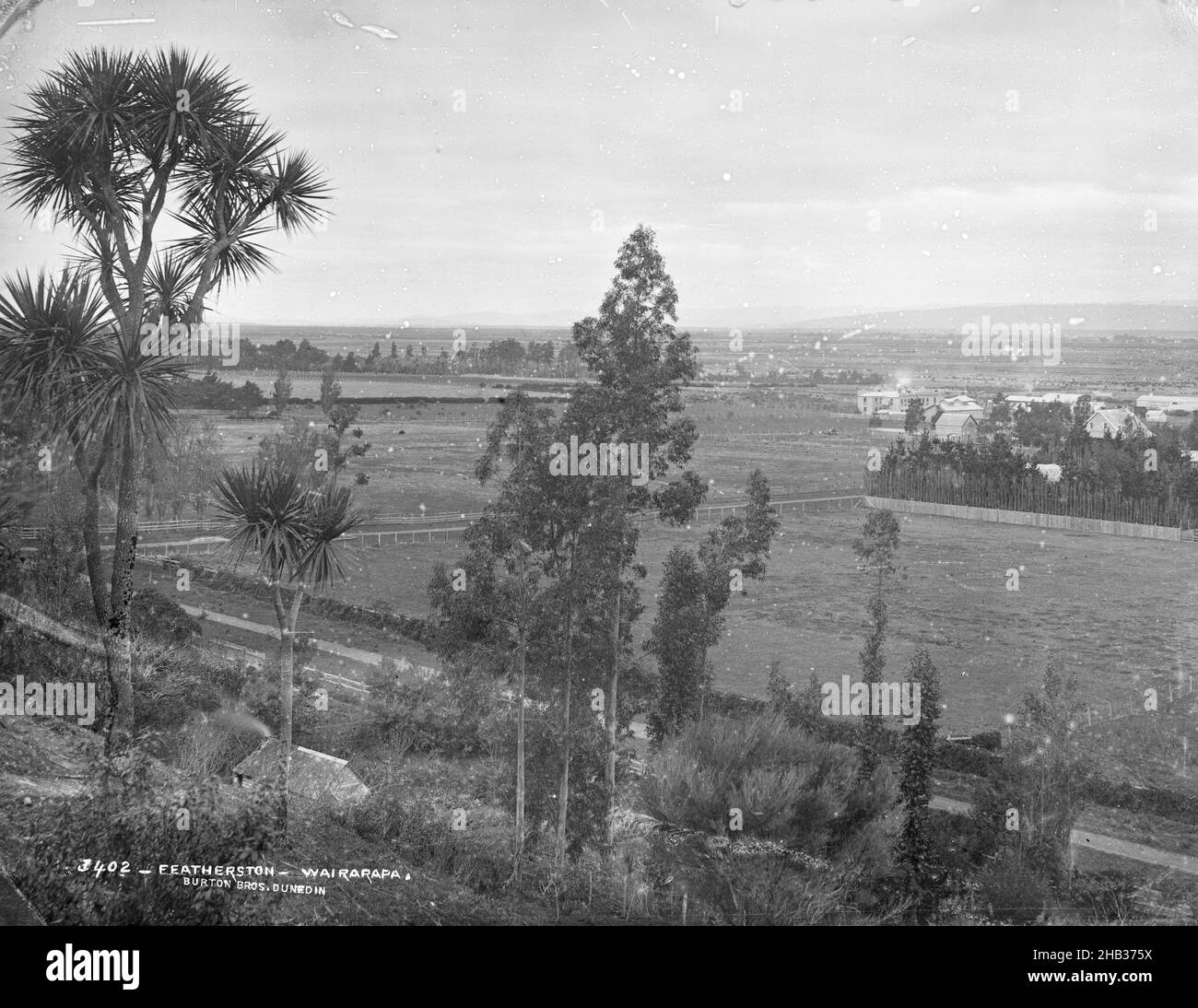 Featherston, Wairarapa, Burton Brothers studio, photography studio, New ...
