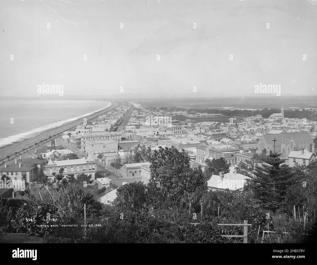 Napier, Burton Brothers studio, photography studio, Dunedin, black-and ...