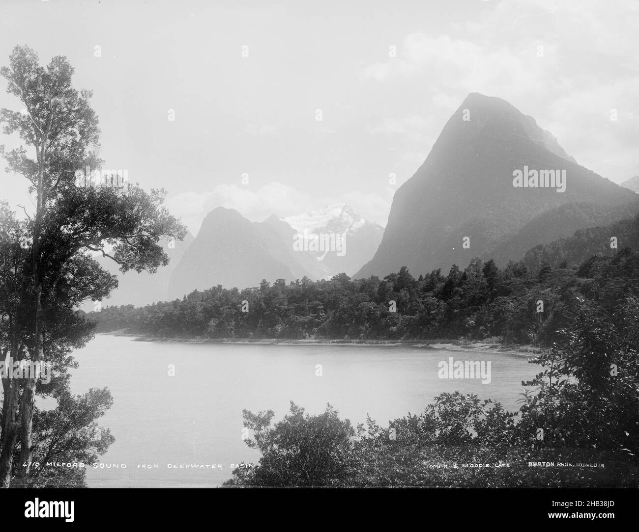 Milford Sound, from Deepwater Basin, Burton Brothers studio ...