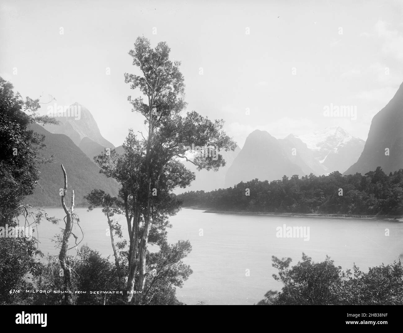 Milford Sound, from Deepwater Basin, Burton Brothers studio ...