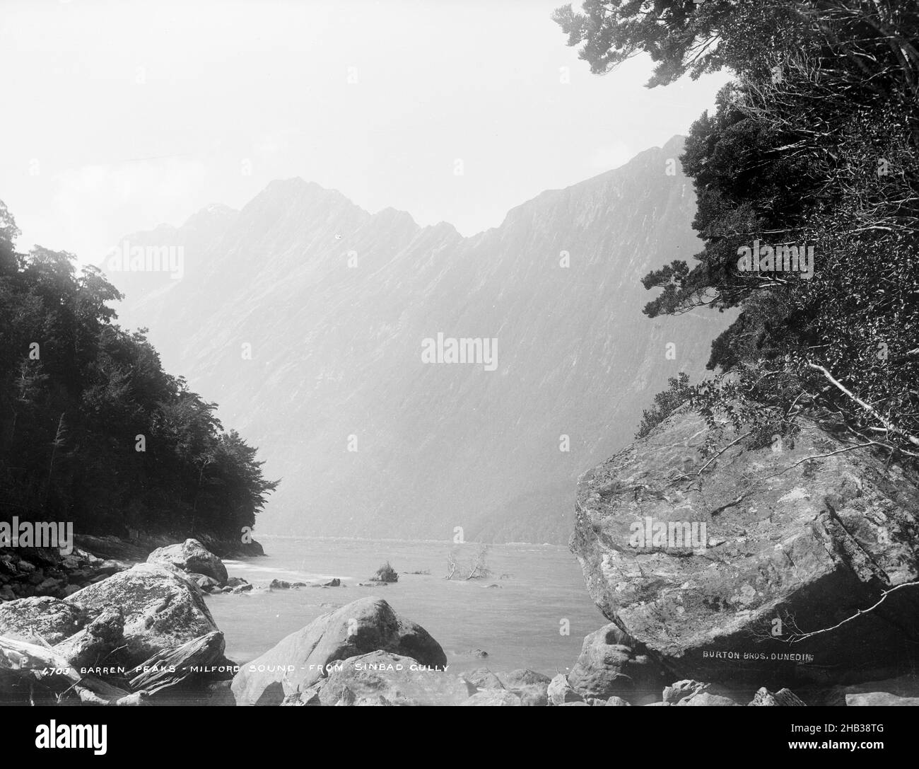 Barren Peaks, Milford Sound, from Sinbad Gully, Burton Brothers studio ...