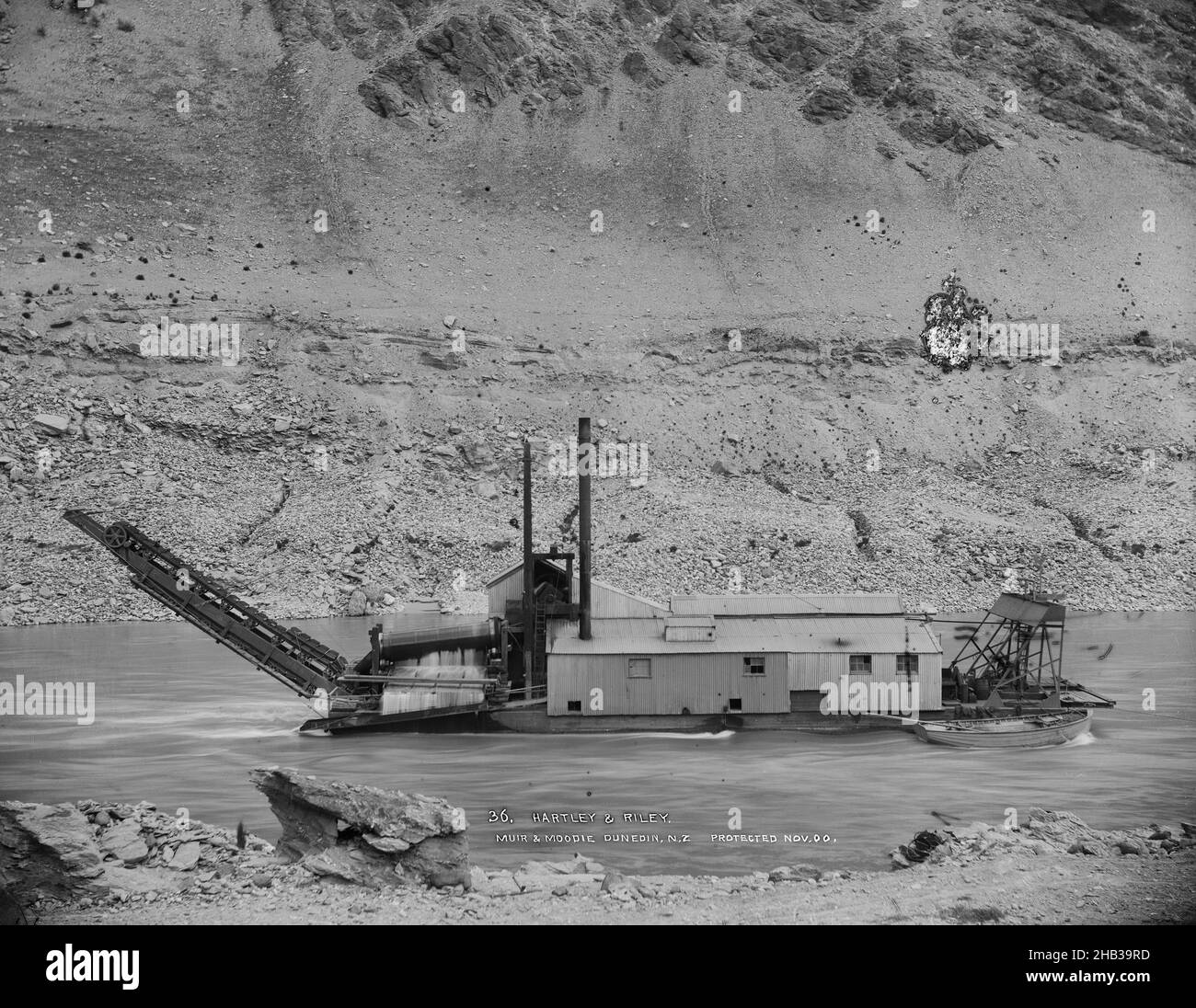 Riley muir hi-res stock photography and images - Alamy