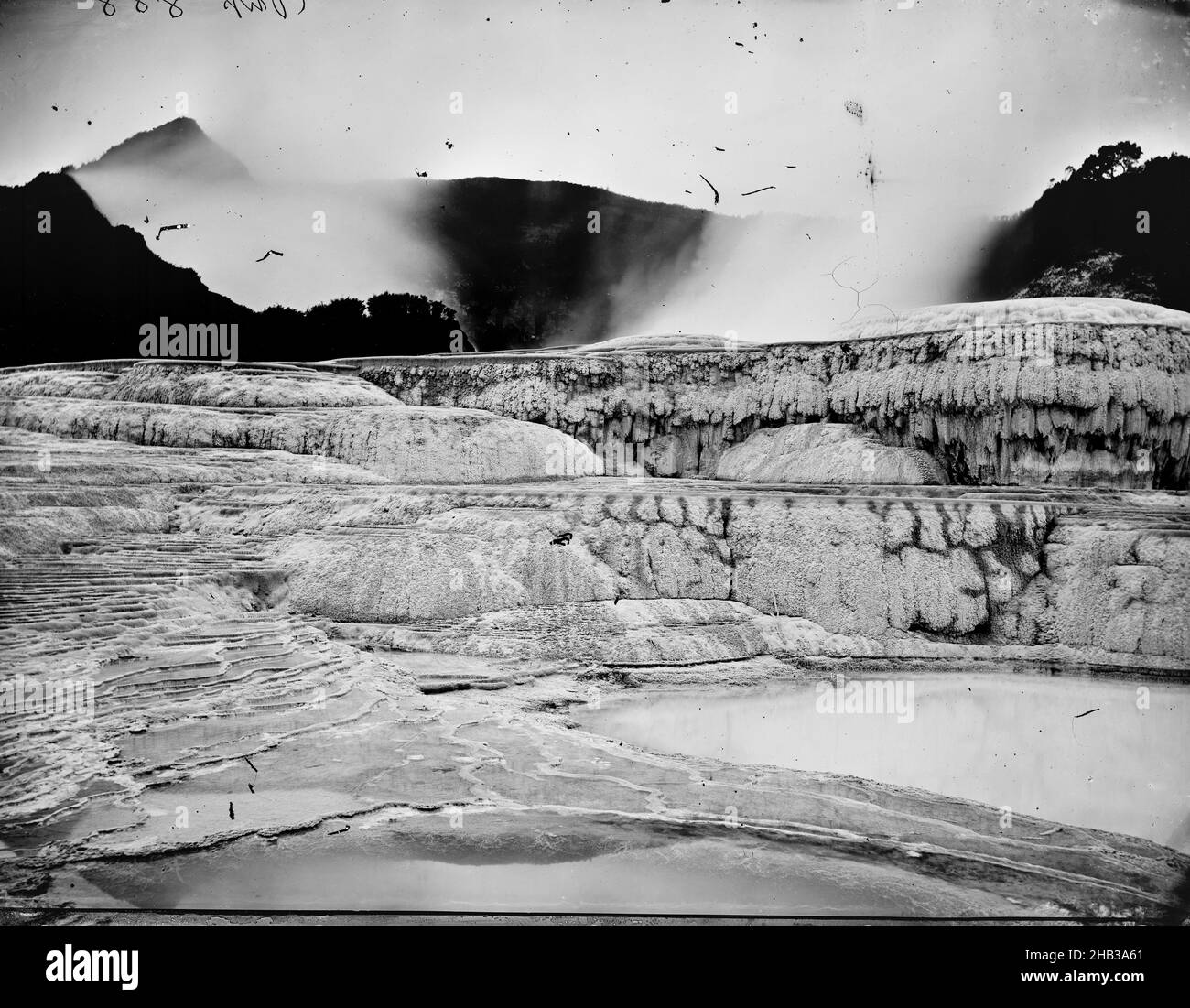 [White Terrace], Burton Brothers studio, photography studio, New ...