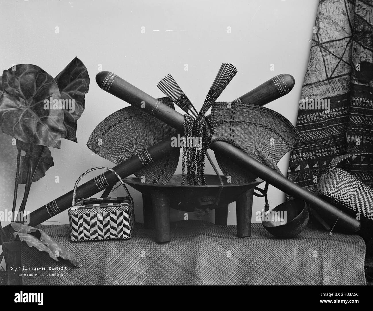 Fijian Curios, Burton Brothers studio, photography studio, circa 1884 ...