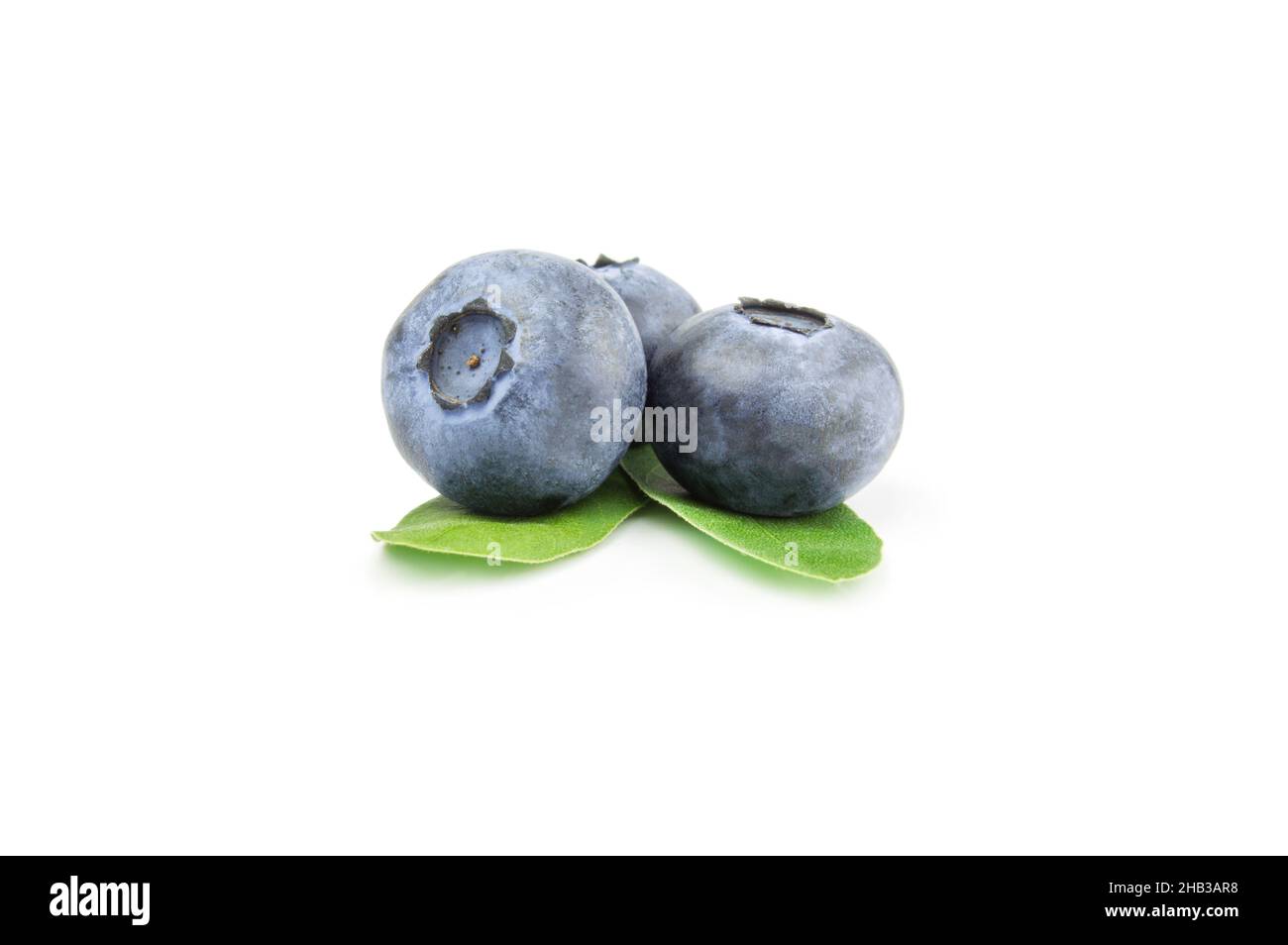 Three ripe blueberries, isolated on white background Stock Photo - Alamy