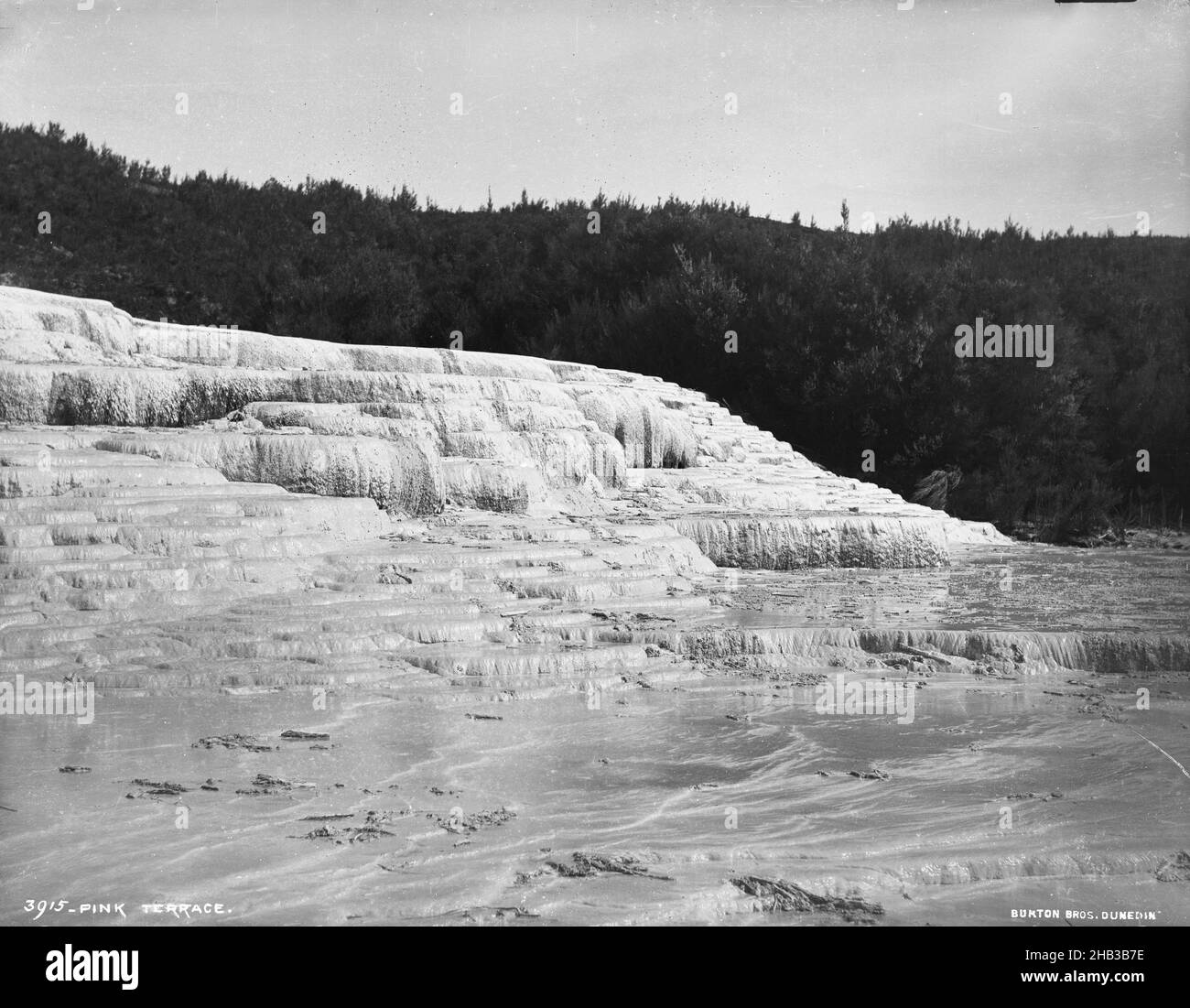 Three pink Black and White Stock Photos & Images - Alamy