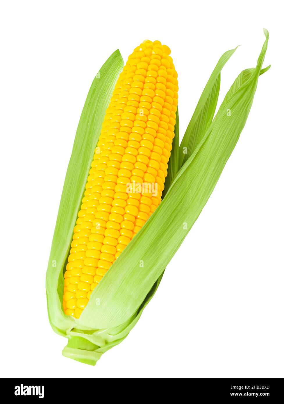 ear of corn isolated on white background Stock Photo - Alamy
