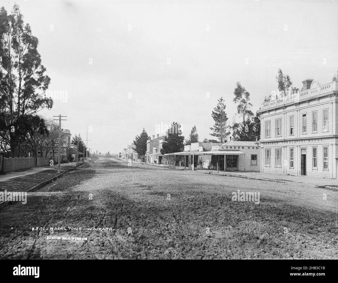 Waikato hamiltons hi-res stock photography and images - Alamy