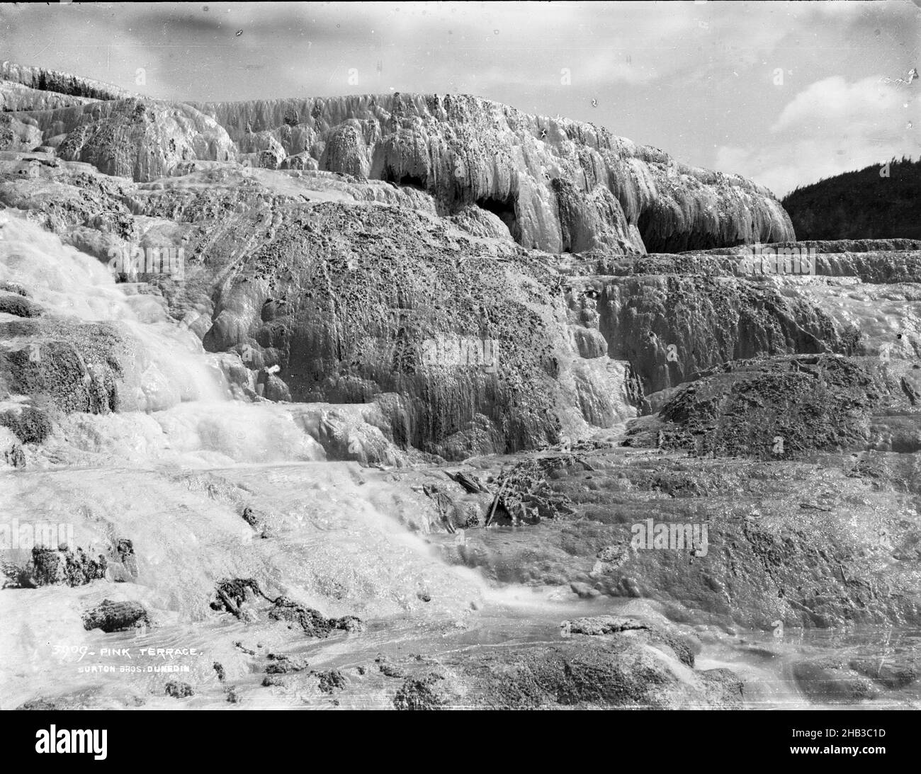 Pink Terrace, Burton Brothers studio, photography studio, New Zealand ...