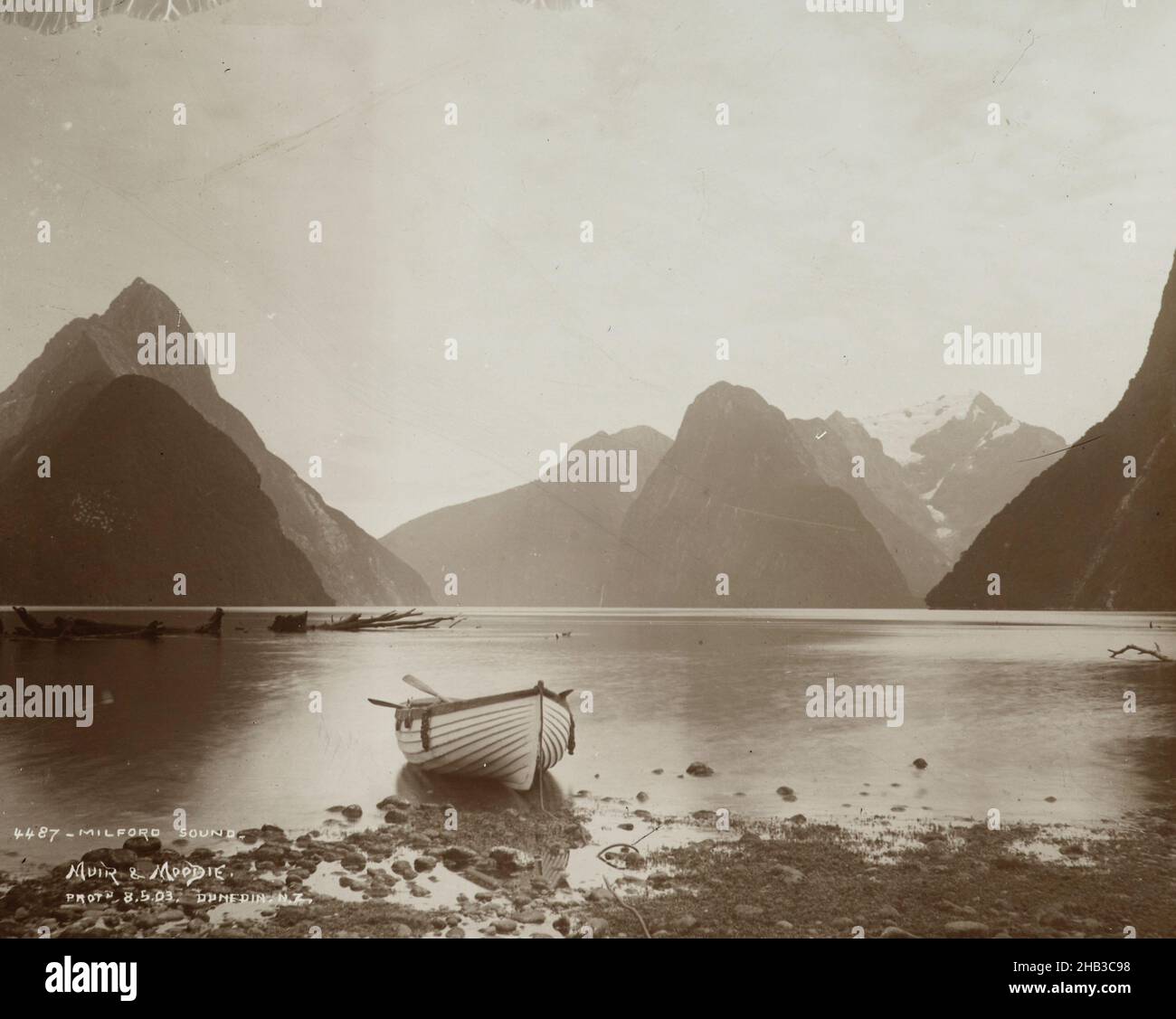 Milford Sound, Muir & Moodie studio, photography studio, 1903, Dunedin ...