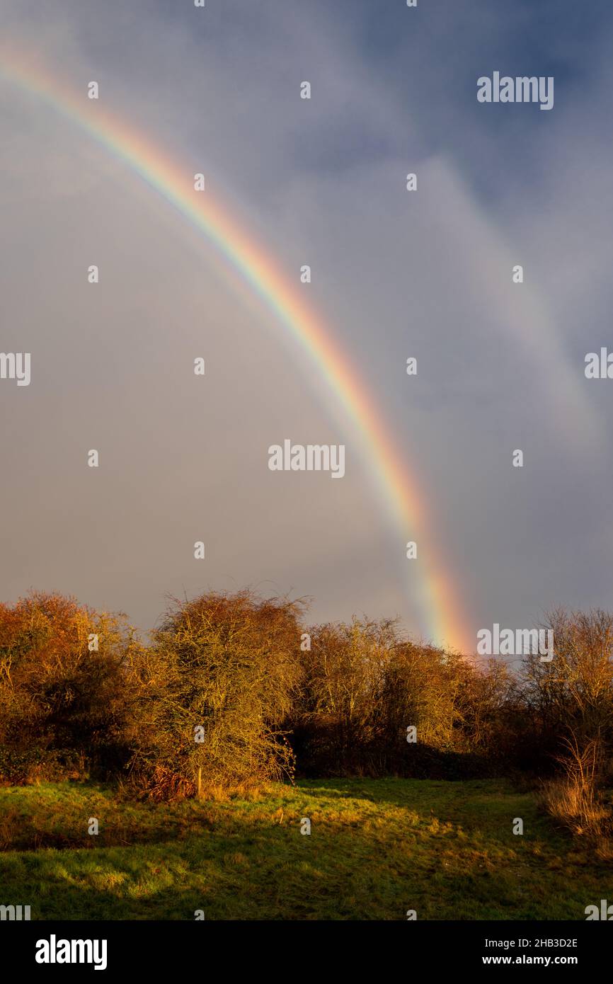 Rainbow over trees in sunlight with clouds Stock Photo - Alamy