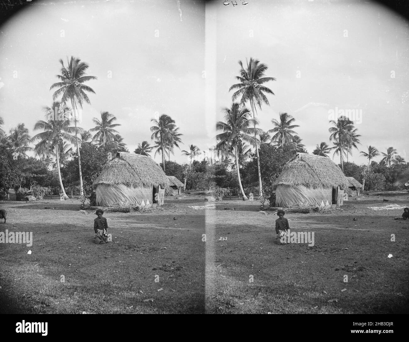[Tonga, Neiafu], Burton Brothers studio, photography studio, July 1884 ...