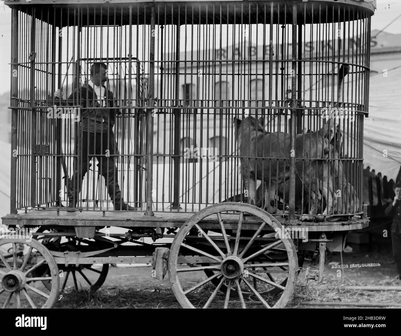Fitzgerald Brothers Circus & Menagerie, Burton Brothers studio ...