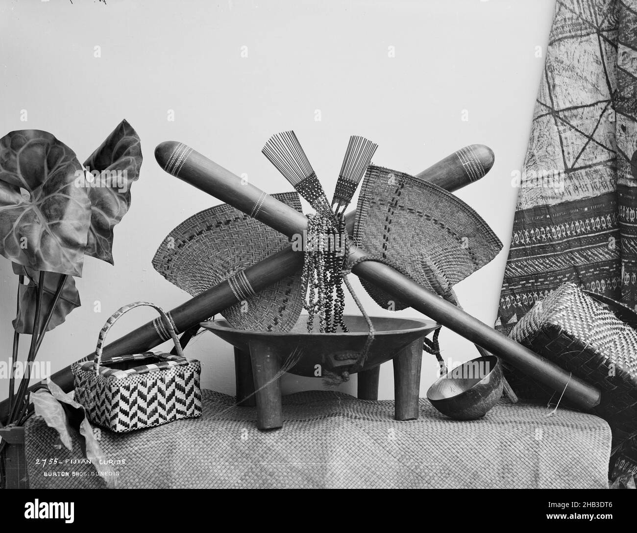 Fijian Curios, Burton Brothers studio, photography studio, circa 1884 ...