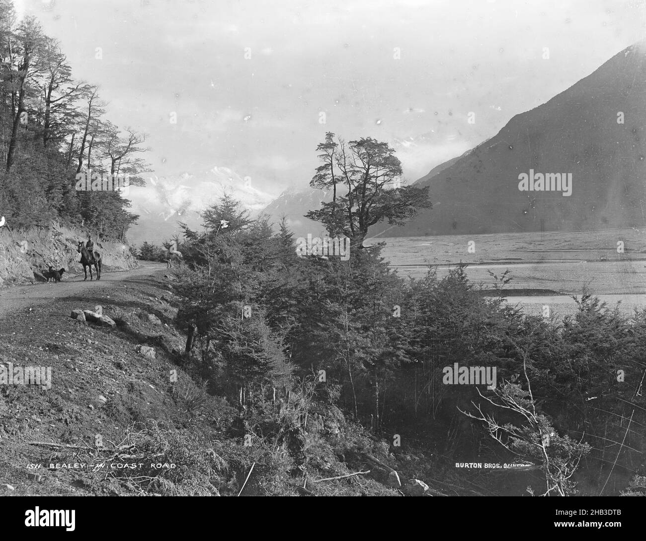 Bealey, West Coast Road, Burton Brothers studio, photography studio, New Zealand, gelatin dry ...