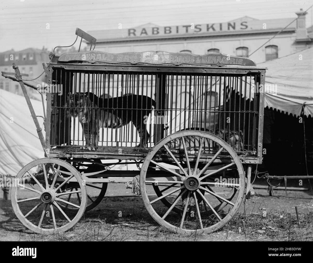 Fitzgerald brothers circus Black and White Stock Photos & Images - Alamy