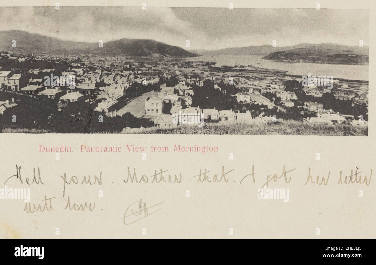 Dunedin, Panoramic view from Mornington, Muir & Moodie studio, 1900 ...