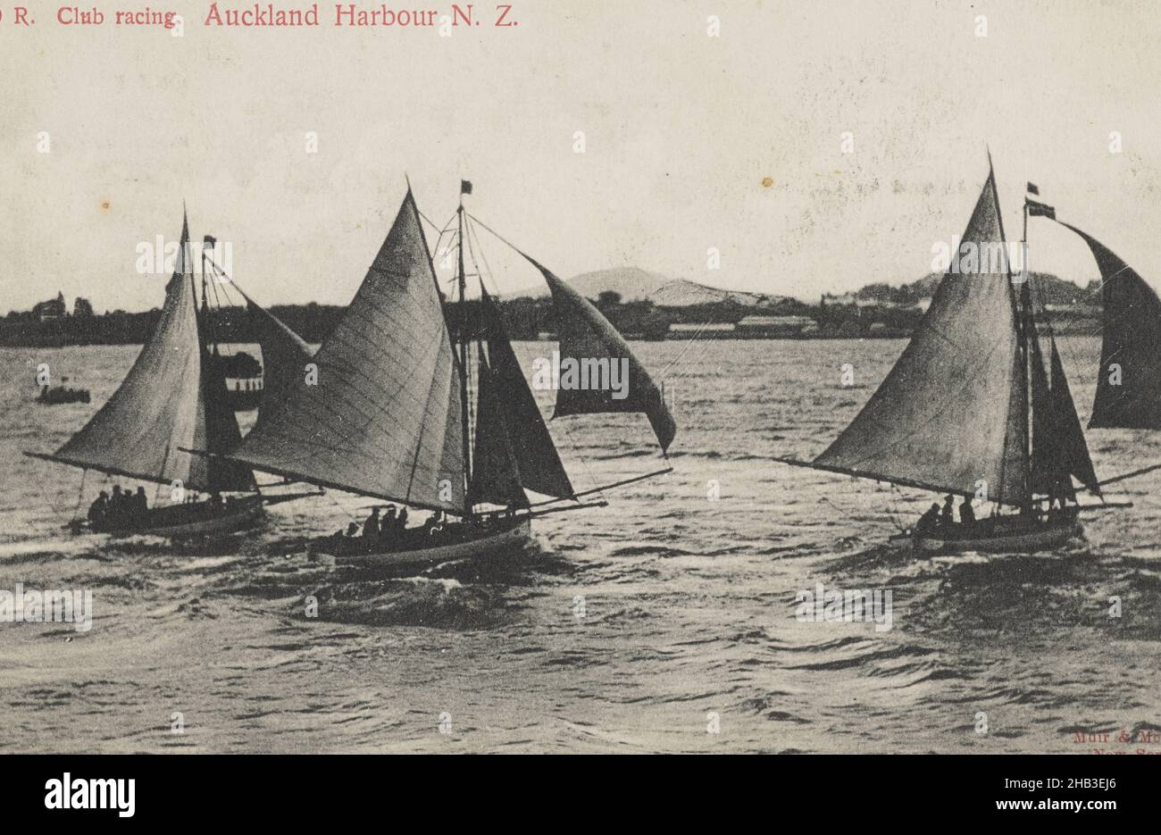 New zealand club racing hi-res stock photography and images - Alamy