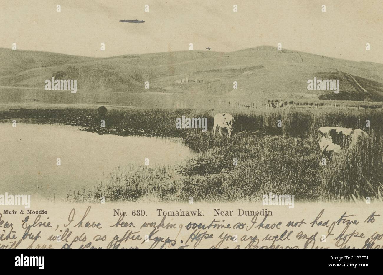 Tomahawk, near Dunedin, Muir & Moodie studio, 1904-1915, Dunedin Stock ...