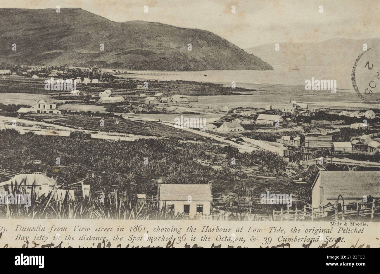 1861 dunedin from view street hi-res stock photography and images - Alamy