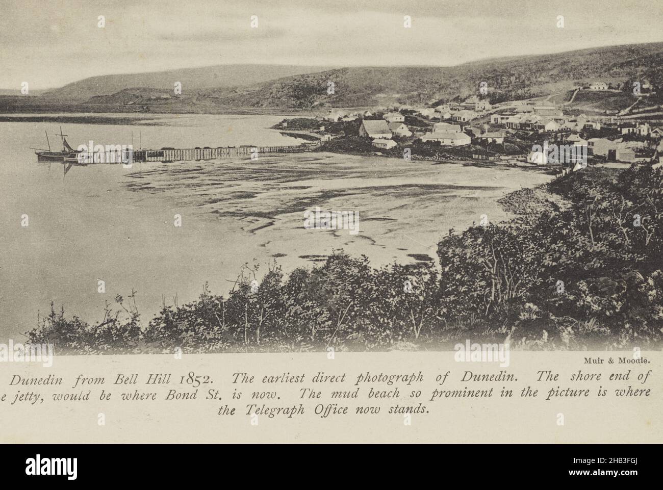 1852 dunedin from bell hill hi-res stock photography and images - Alamy